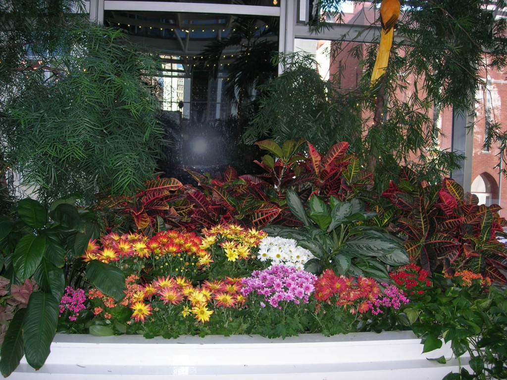 Plant Maintenance Services - We Care for & Water Your Plants