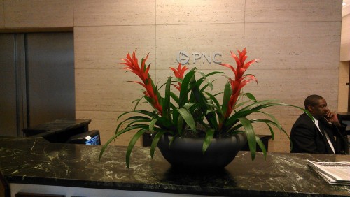 Interior Plantscape Design & Installation - Indoor Plants