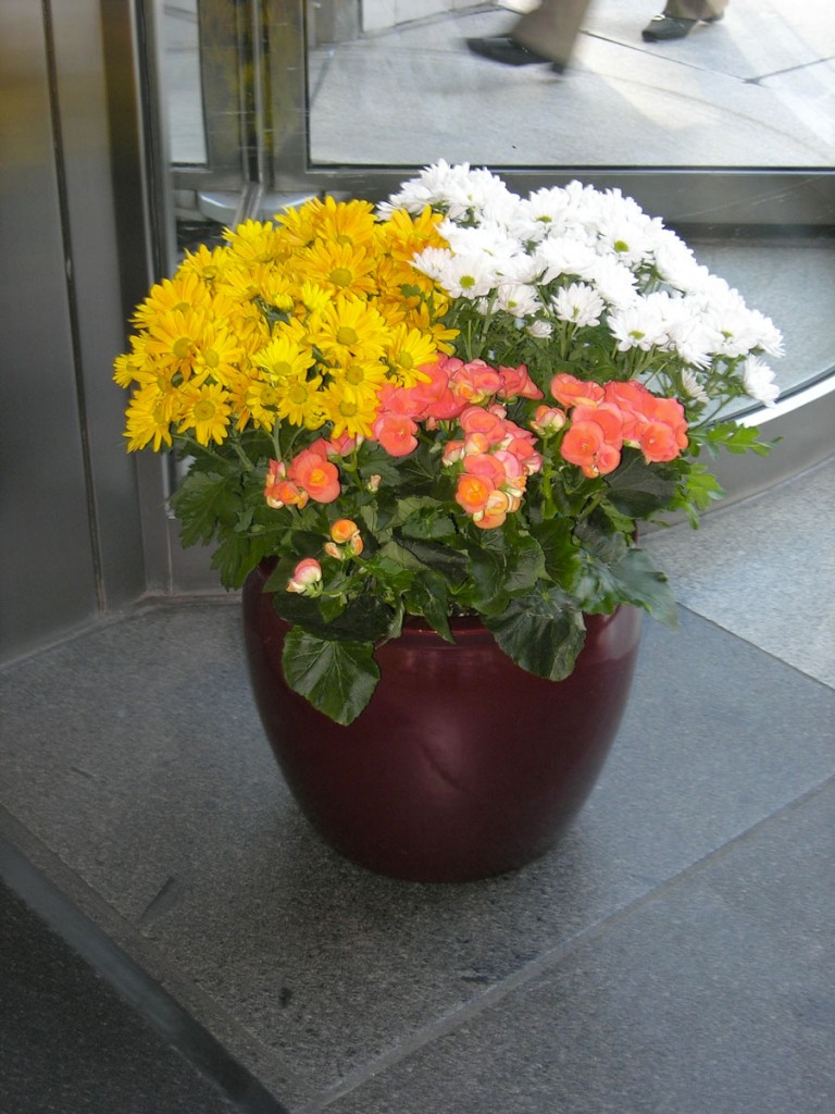 Silk Plants - Artificial Plant Installation