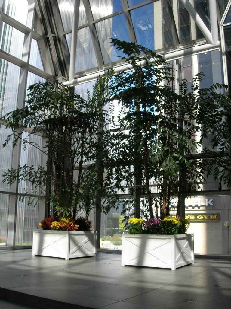 Interior Plantscape Design & Installation - Indoor Plants
