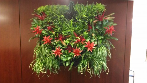 Interior Plantscape Design & Installation - Indoor Plants