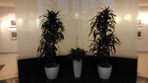 Interior Plantscape Design & Installation - Indoor Plants