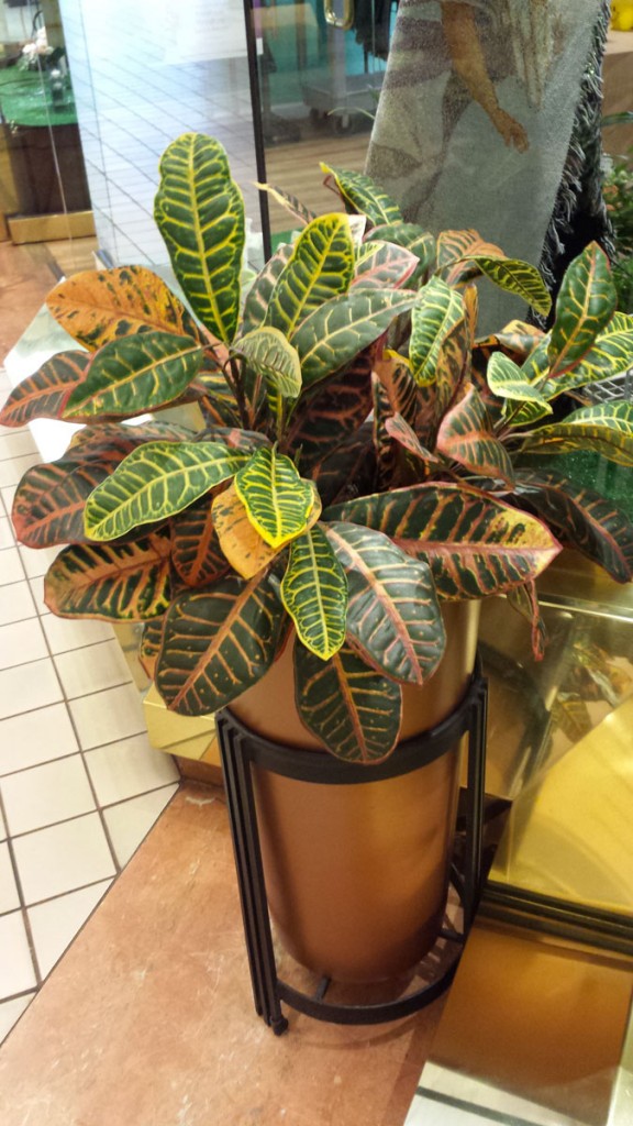 Silk Plants - Artificial Plant Installation