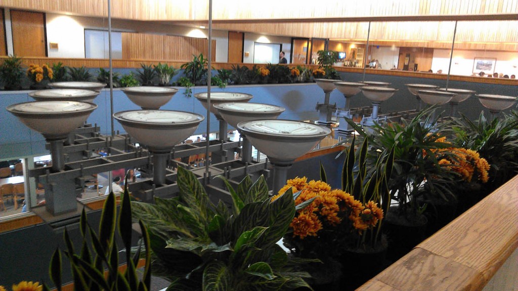 Interior Plantscape Design & Installation - Indoor Plants