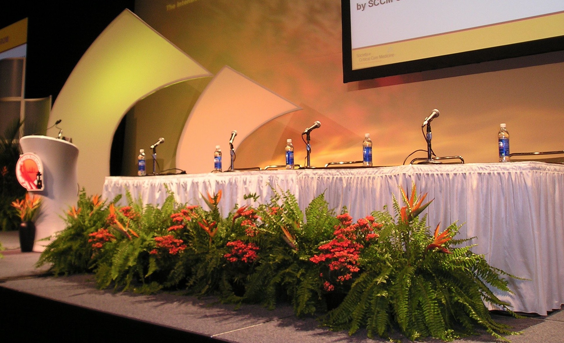 Plant Rentals - The Plant Lady