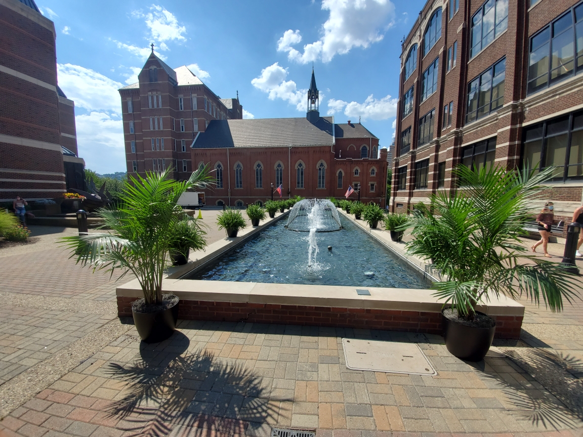 Plant Rentals - The Plant Lady